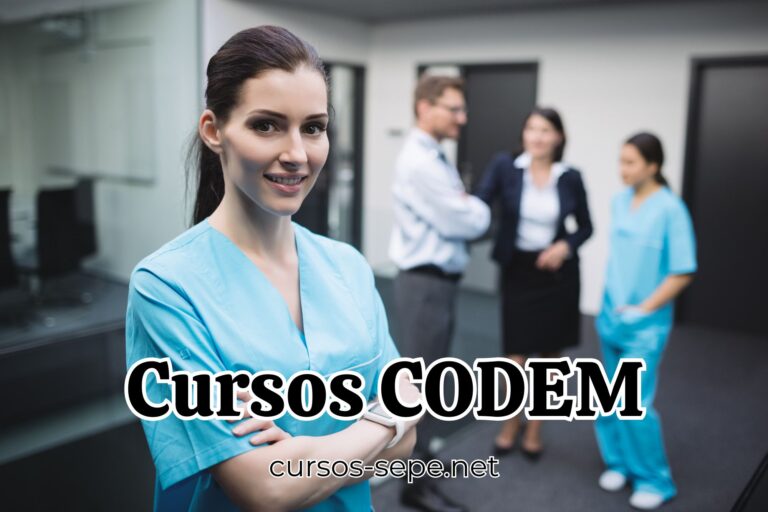 Cursos CODEM: Ofertas de formación 100% online - Cursos SEPE
